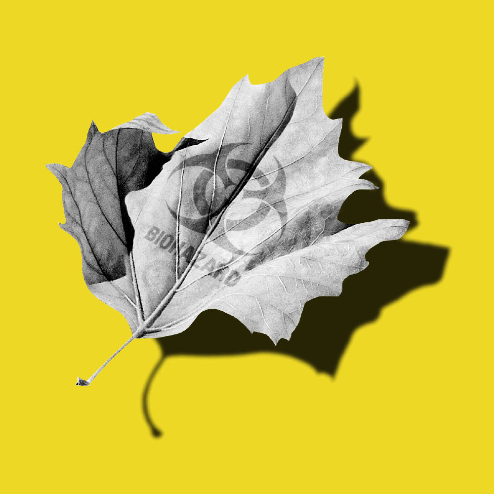 NRG Board - NRG Digital